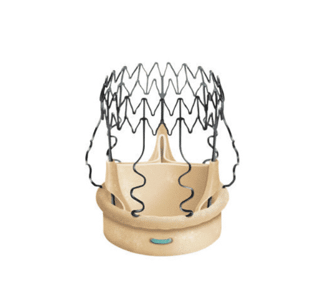 Como escolher uma prótese valvar - Guias de compra MedicalExpo